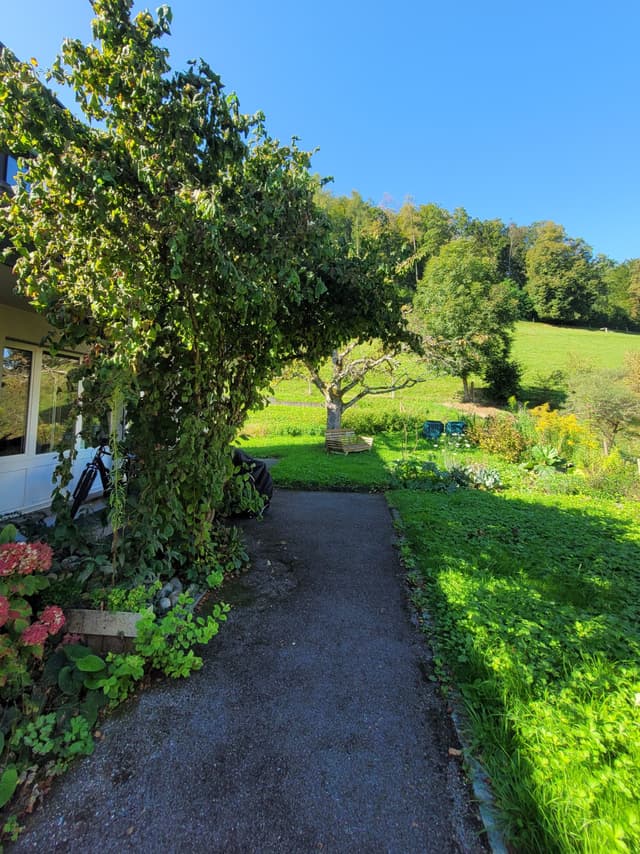 WG-Zimmer in Laubibergstrasse, 4410 Liestal für 700 CHF